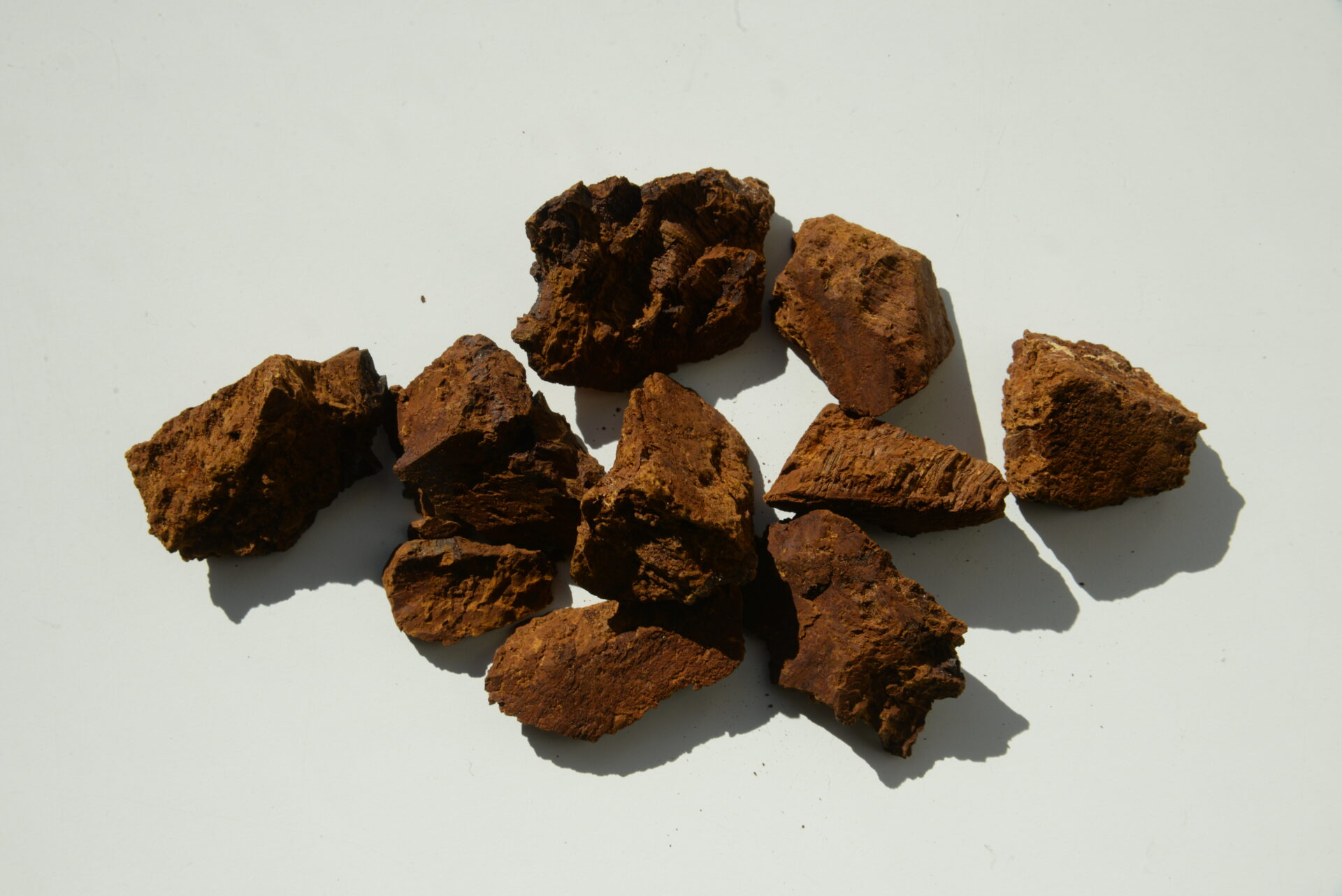 Chaga Chunks - Chaga Mushroom
